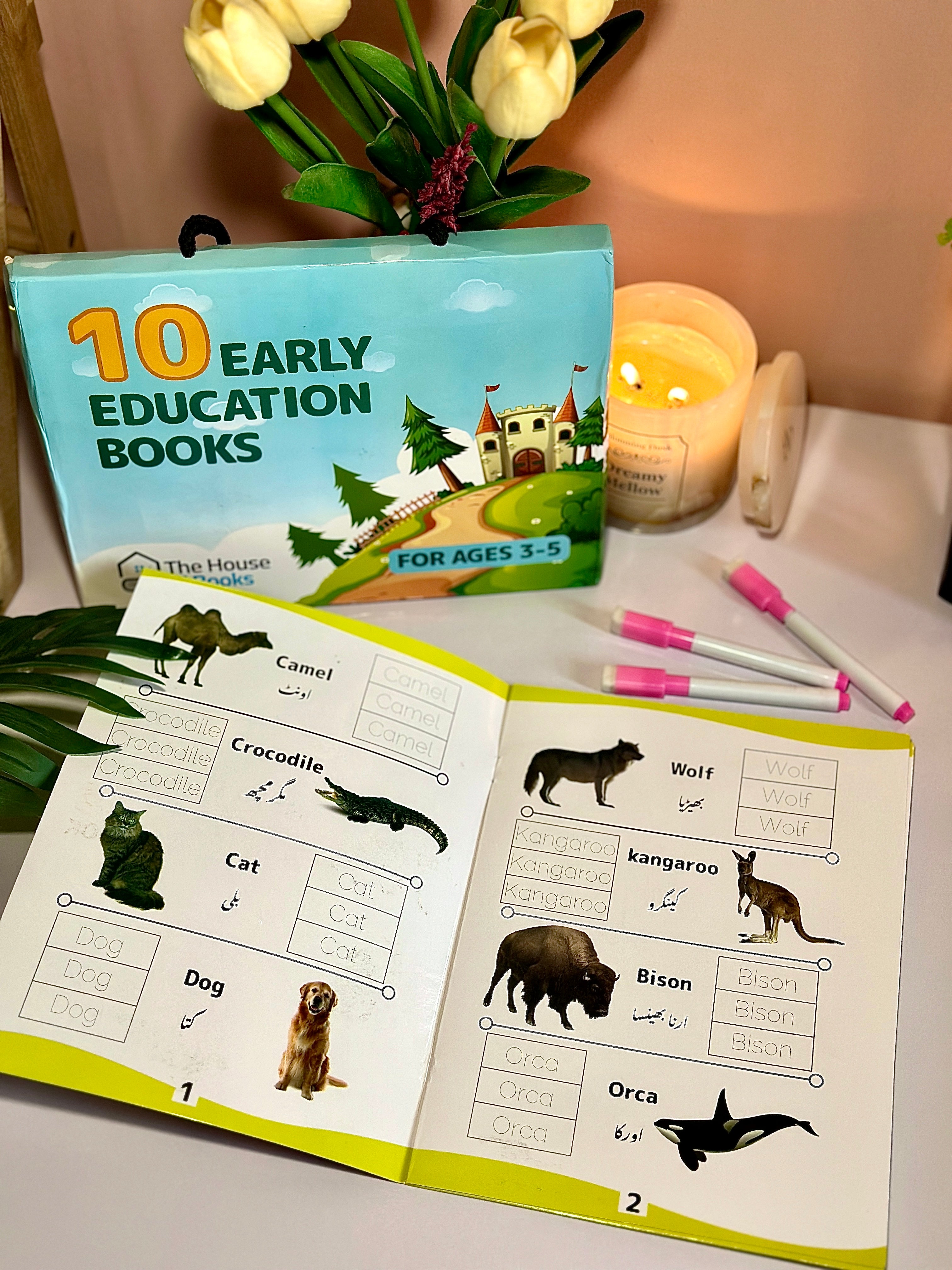 Write & Wipe Children - 10 Pcs Book Set - House Of Books